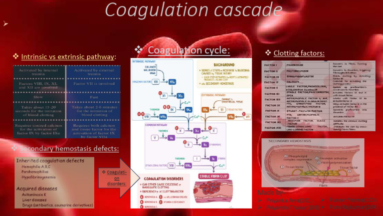 Coagulation Cascade | PDF