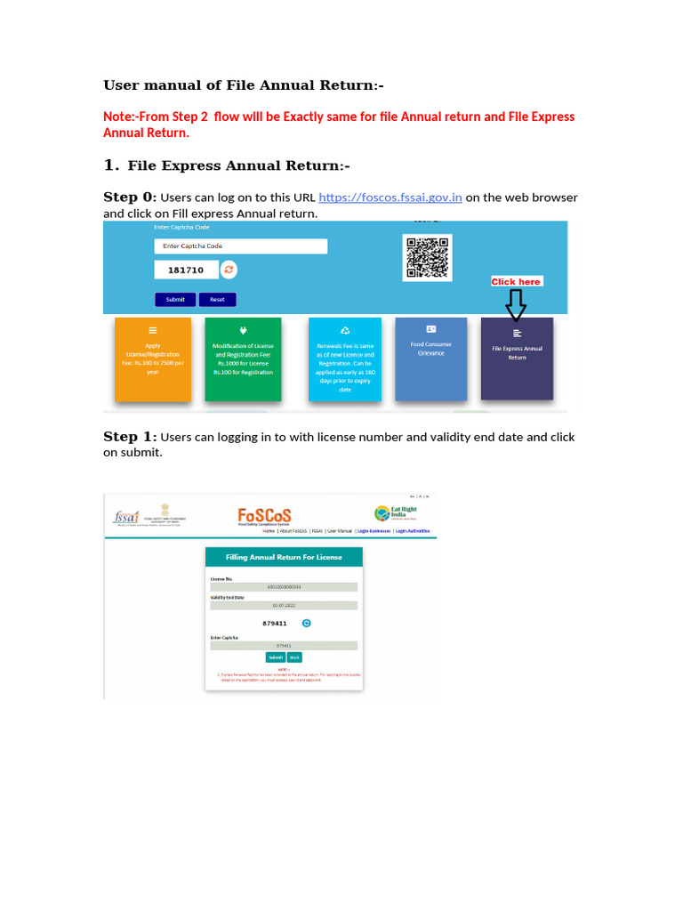 User Manual of File Annual Return | PDF