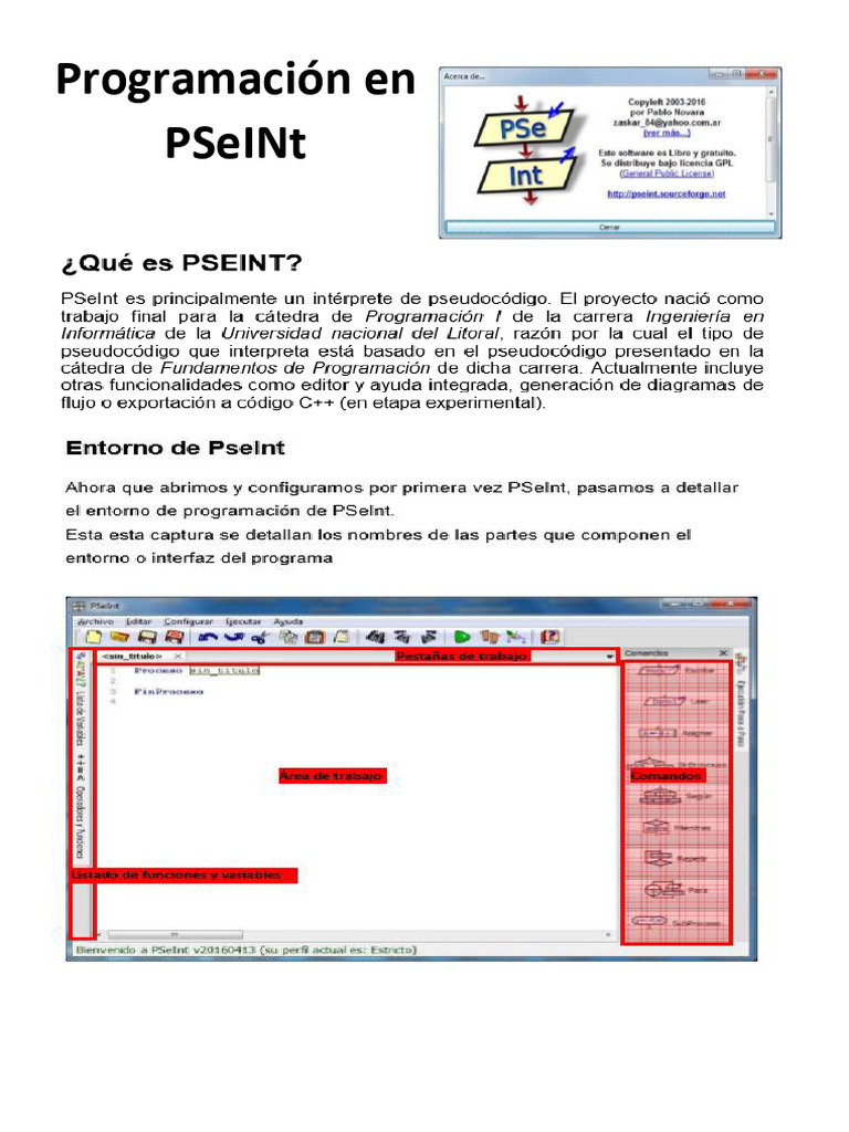Manual Pseint | PDF