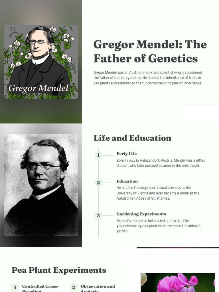 mendal (1) | PDF | Heredity | Genetics