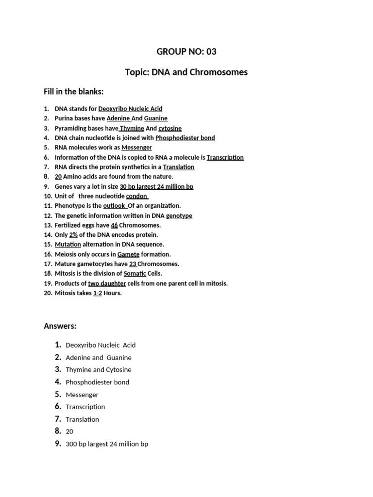 Group 3 DNA and Chromosome | PDF | Dna | Gene
