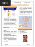 Síndrome do Primeiro Neurônio Motor | PDF | Sistema nervoso | Doenças e ...