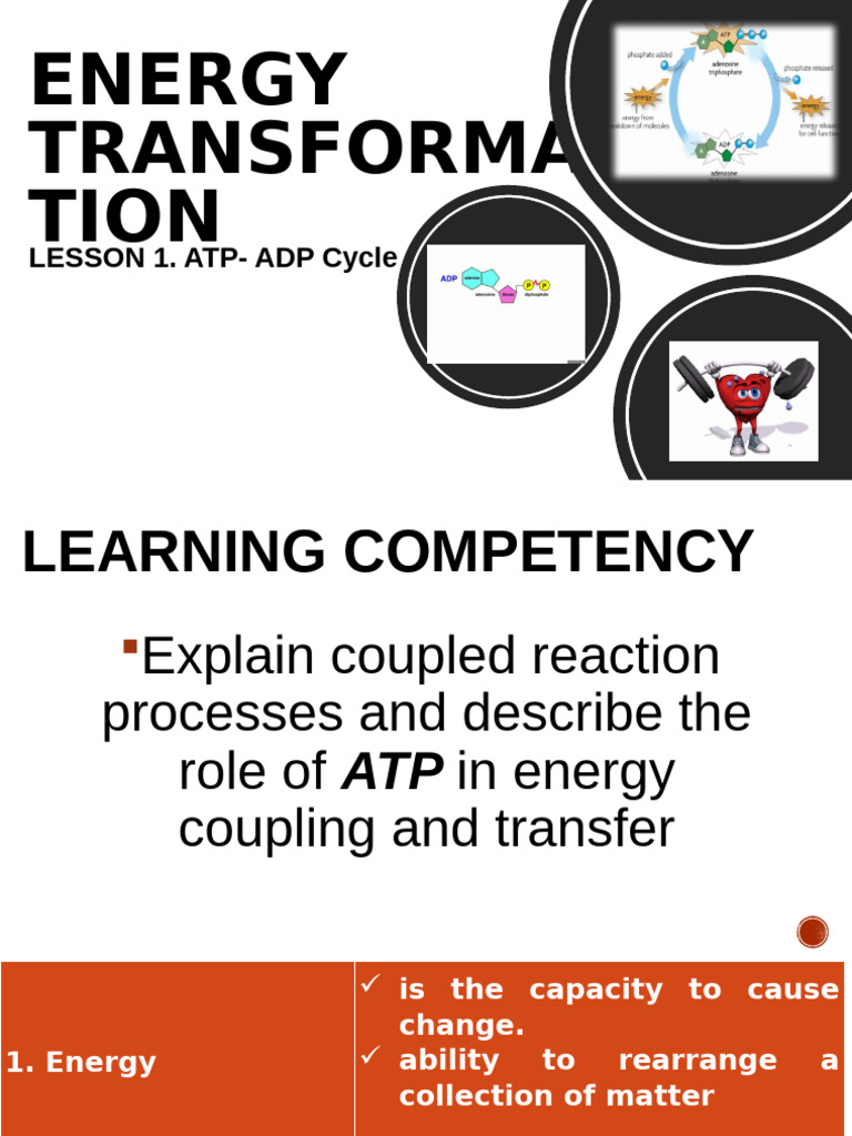 Atp Adp Cycle Lesson 1 | PDF | Adenosine Diphosphate | Adenosine ...