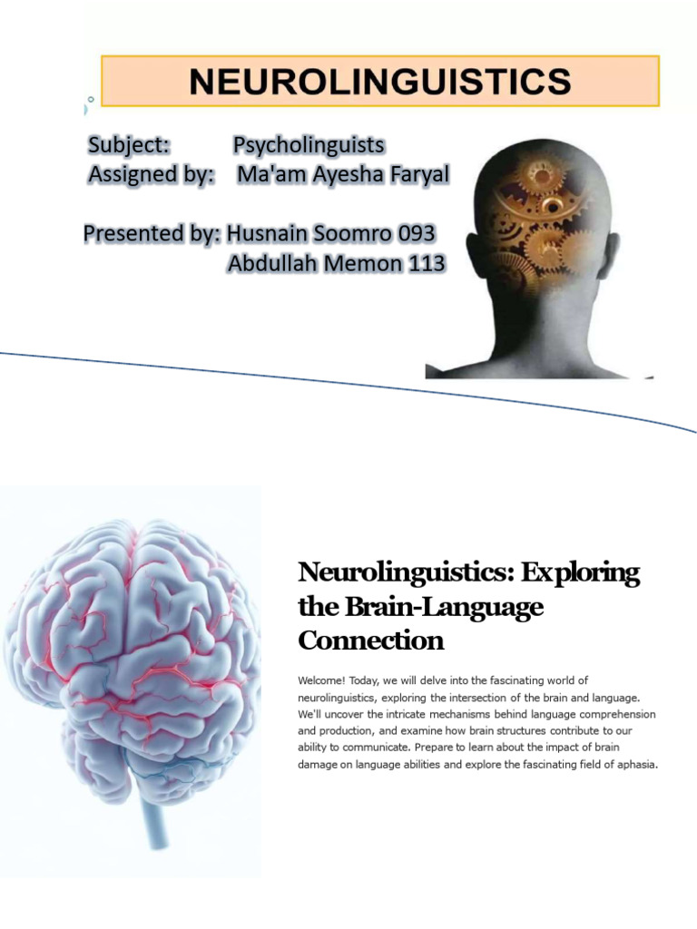 Neurolinguistics Exploring The Brain Language Connection | PDF ...