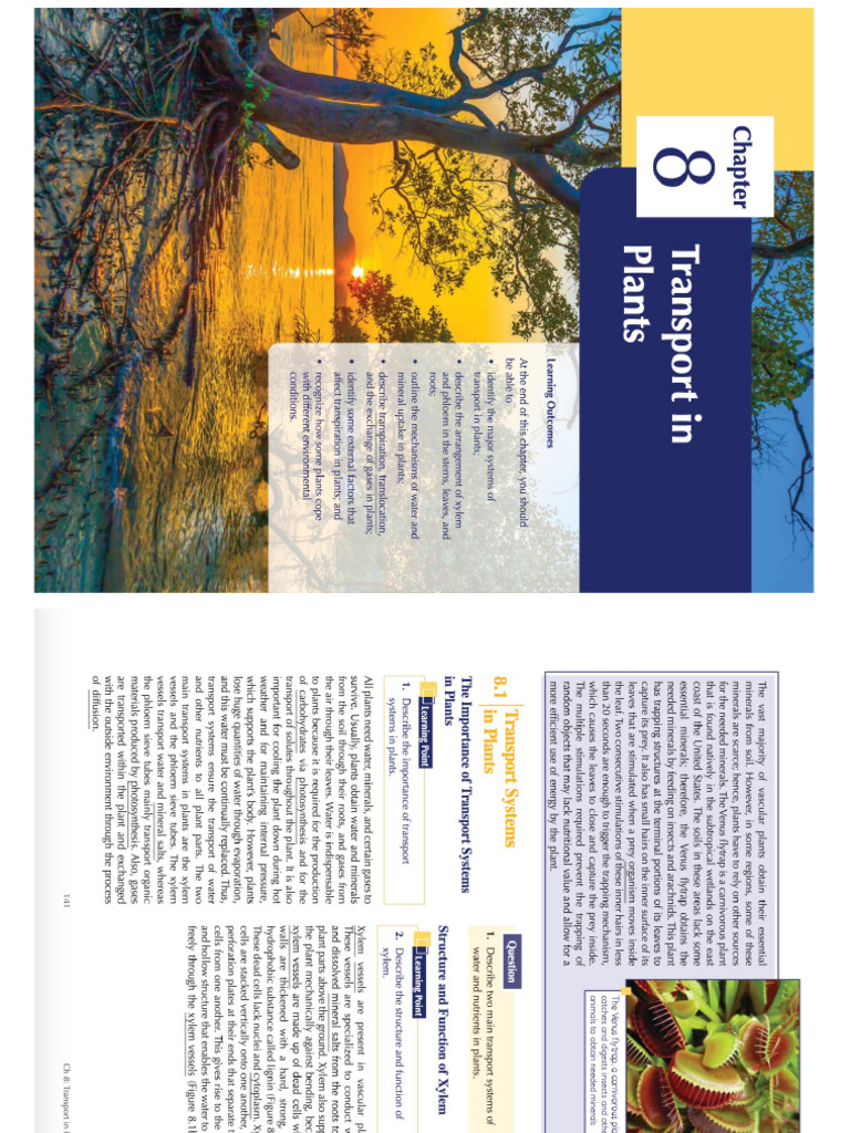 Chapter 8 Bio Book | PDF