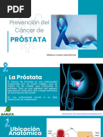 Tríptico de Cáncer de Próstata. | PDF | Cancer de prostata | Cáncer