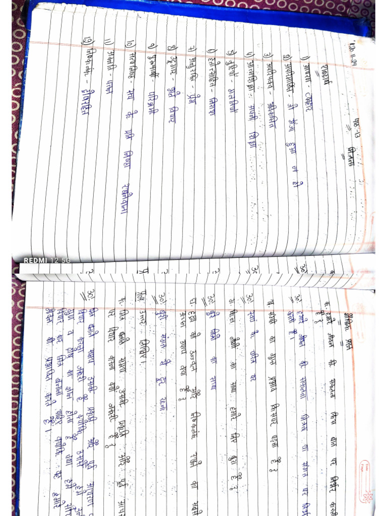 Hindi Literature Notebook Work | PDF