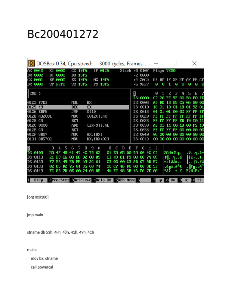CS401 Assignment | PDF
