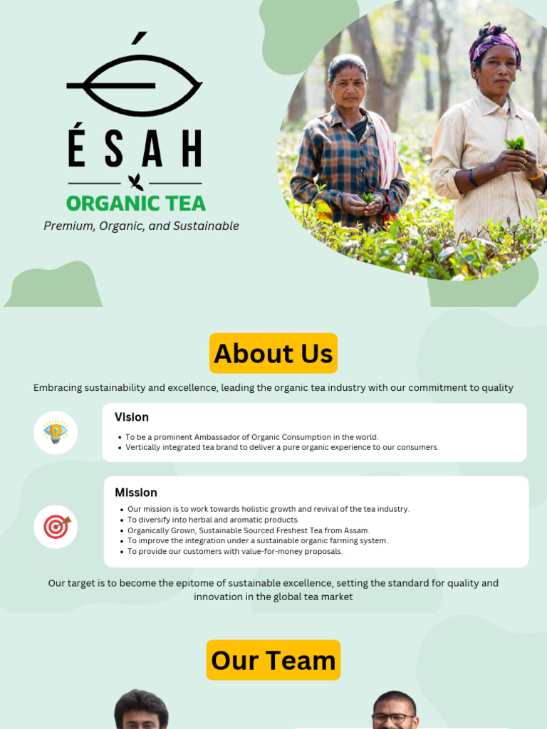 Esah_Tea | PDF | Tea | Retail