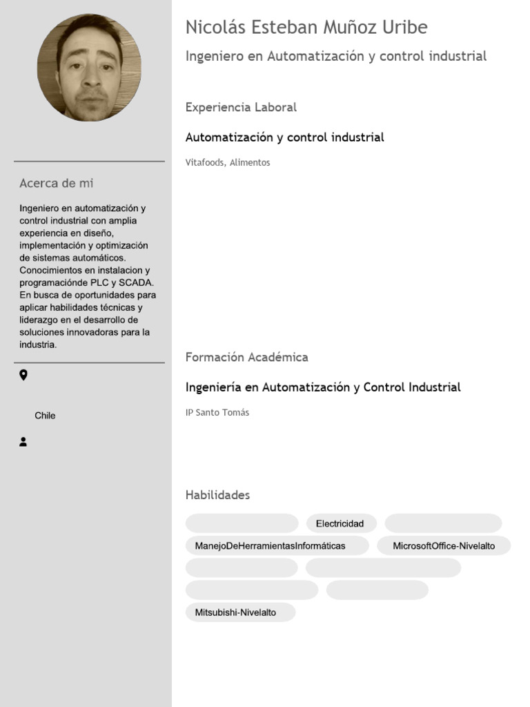 Currículum Nicolás Muñoz Uribe | PDF