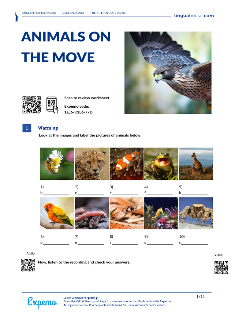 4 Animals On The Move American English Student A2 B1 | PDF | Adverb | Birds