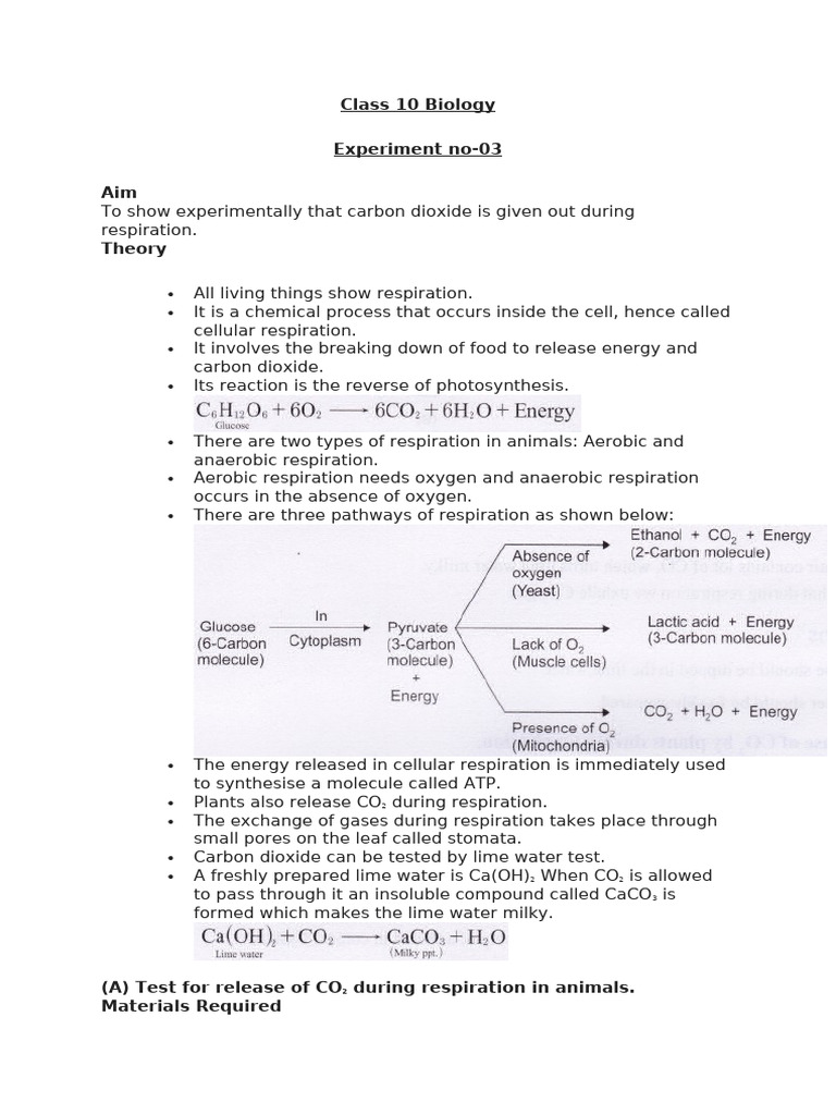 Class 10 Bio Practical No3 | PDF