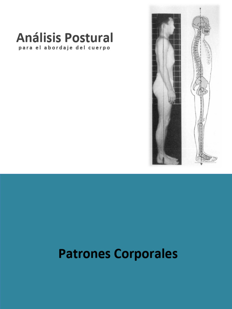 Analisis Postural Resumen | PDF | Pelvis | Tórax