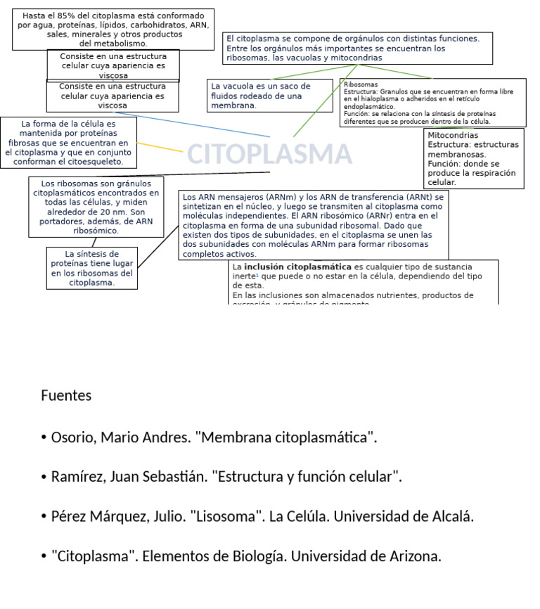 Cito Plasma | PDF | Citoplasma | Ribosoma