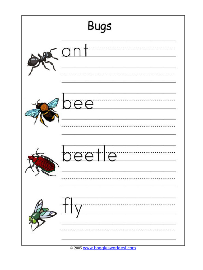Word Group Bugs | PDF