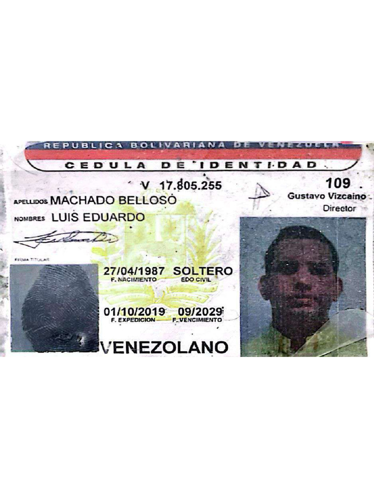 CEDULA Y RIF LUIS MACHADO | PDF