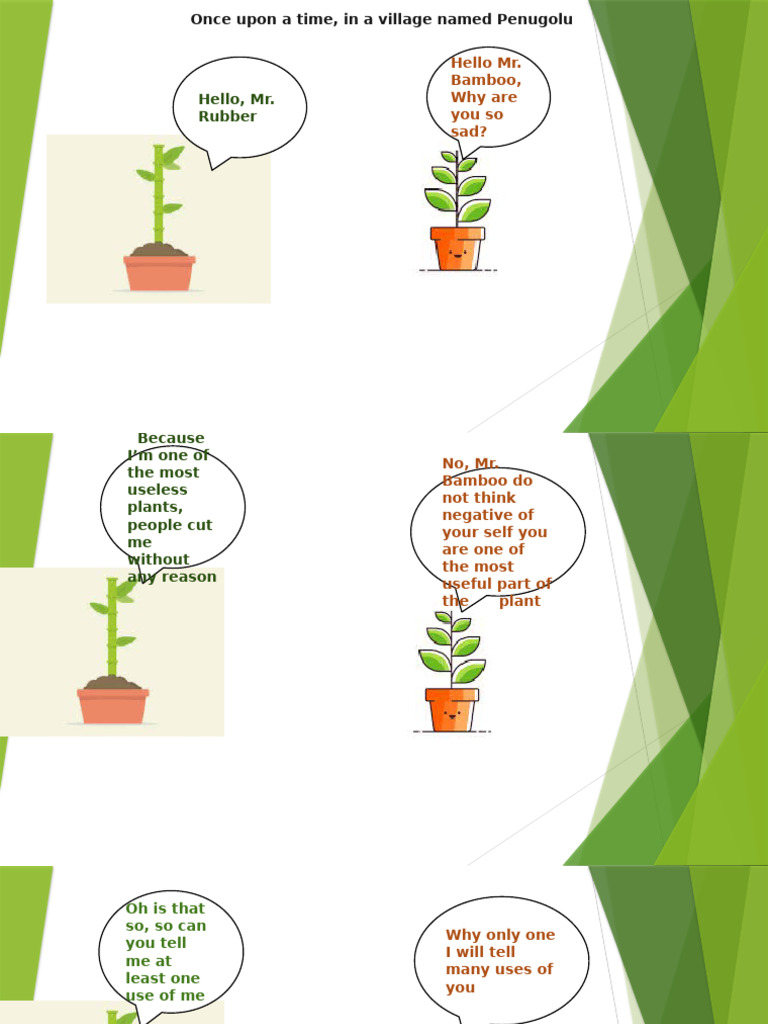 Social Studies Bamboo Story | PDF