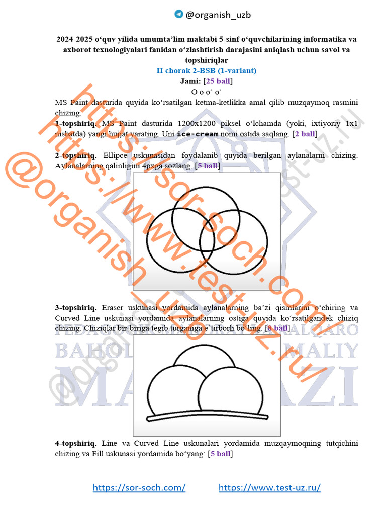 5 Sinf Informatika BSB-2 Var 1 | PDF
