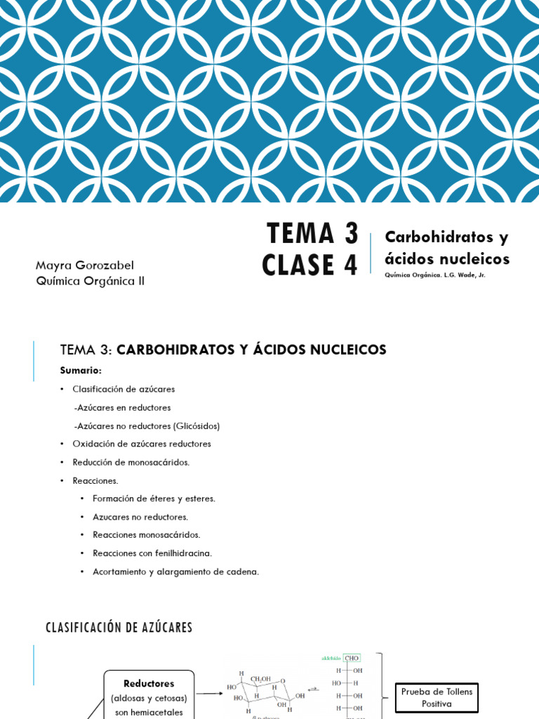 Tema 3 Clase 4 Carbohidratos | PDF | Carbohidratos | Polisacárido