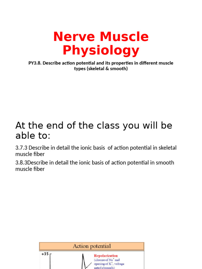 SGT Smoooth Muscle | PDF