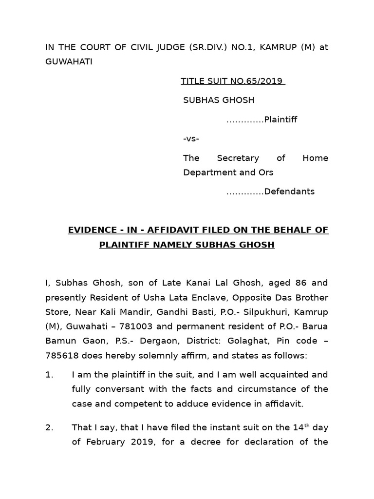 Affidavit for Missing Person Declaration | PDF | Affidavit | Lawsuit