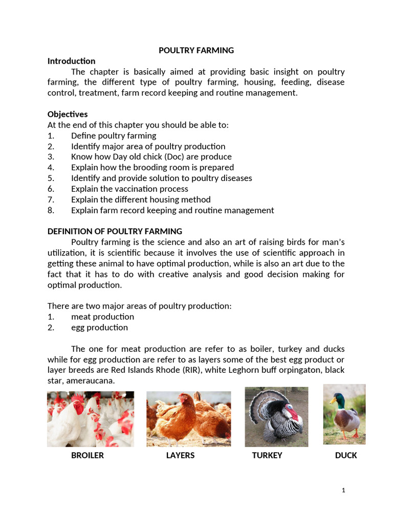 POULTRY FARMING | PDF | Poultry | Poultry Farming