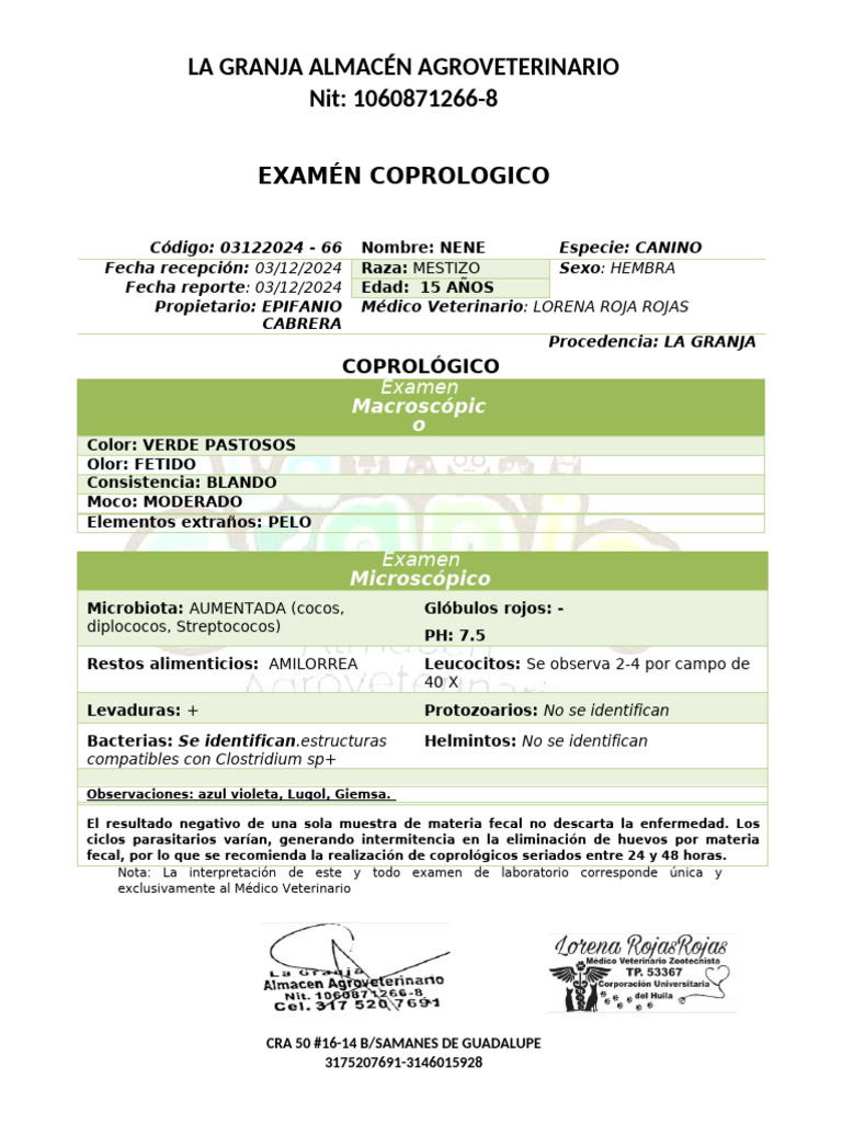 Formato Coprologico | PDF
