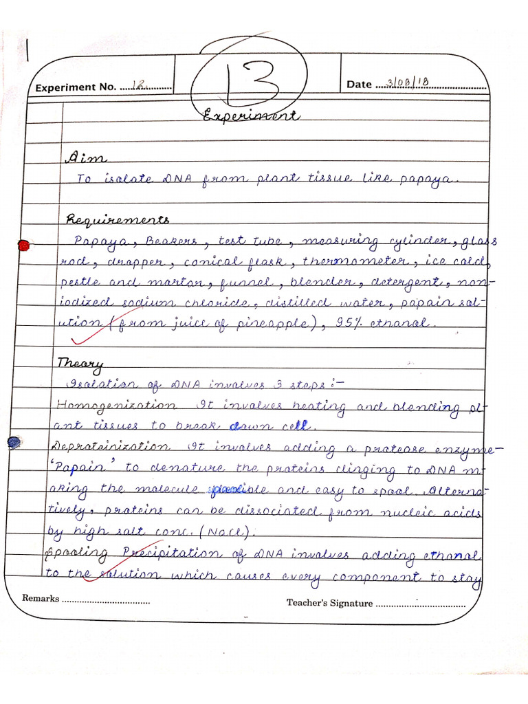 Practical 13 ( Bio ) | PDF