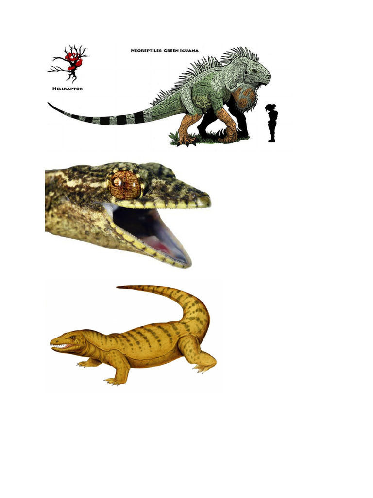 Snakes | PDF