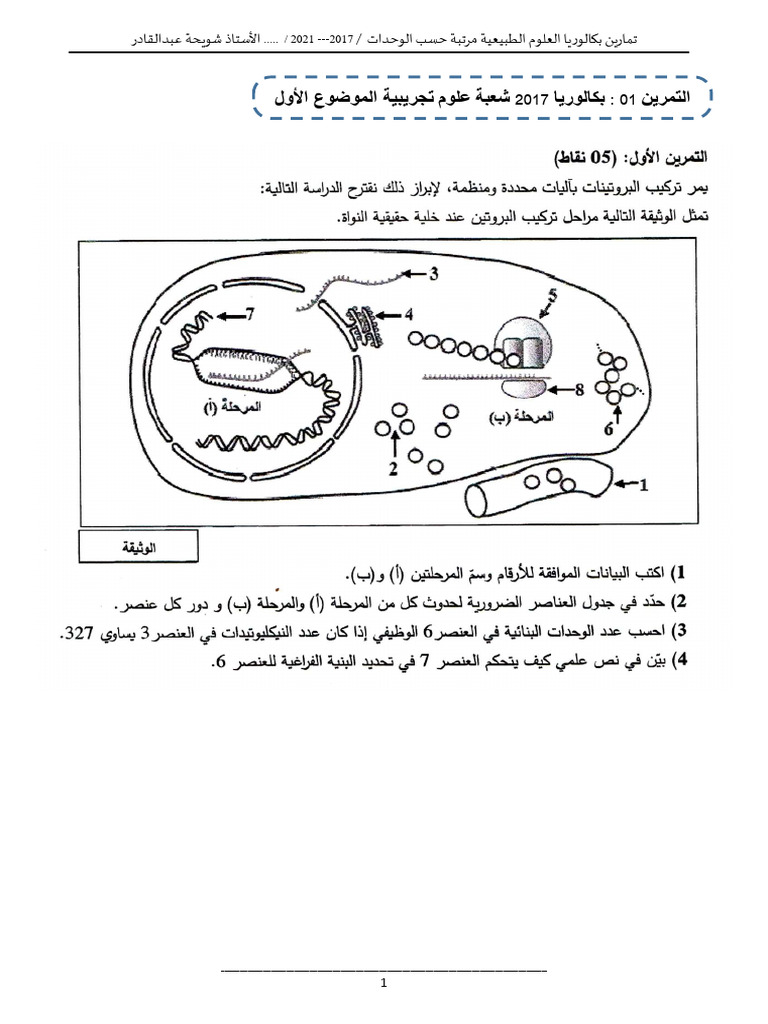 Dzexams Docs 3as 904896 | PDF