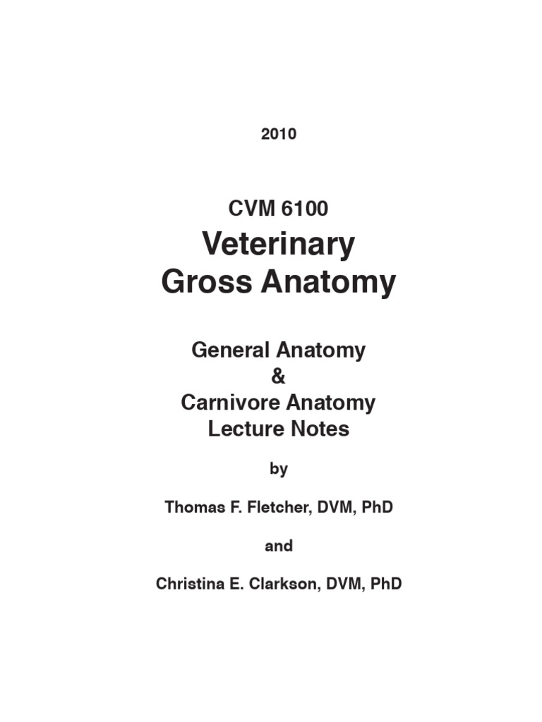Veterinary Gross Anatomy Lecture Notes | PDF