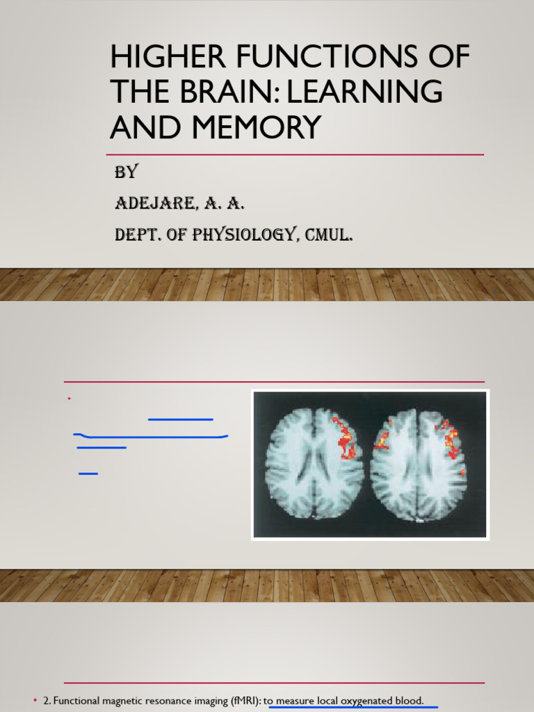 Higher Functions of the Brain Learning and Memory | PDF | Long Term Potentiation | Synapse