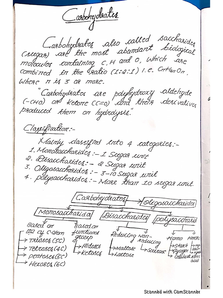 carbohydrates chemistry | PDF