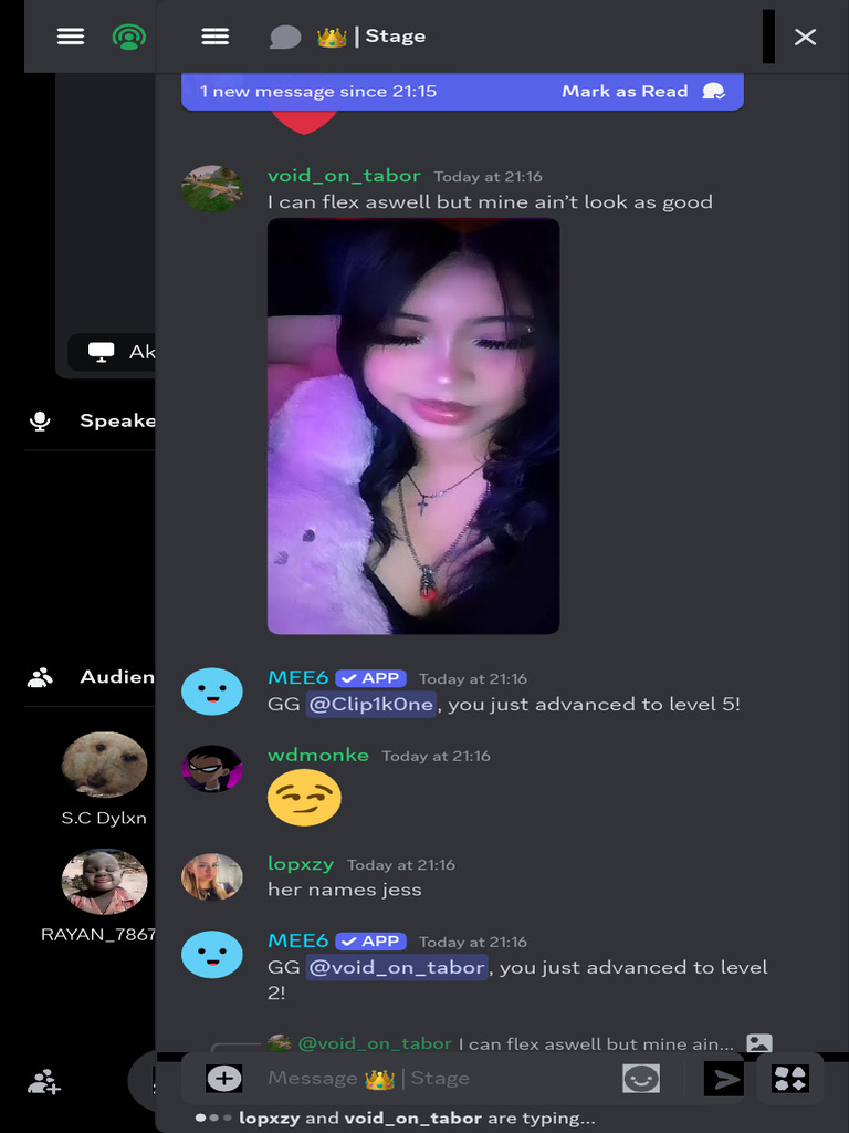 Gamer Chatroom Interaction | PDF