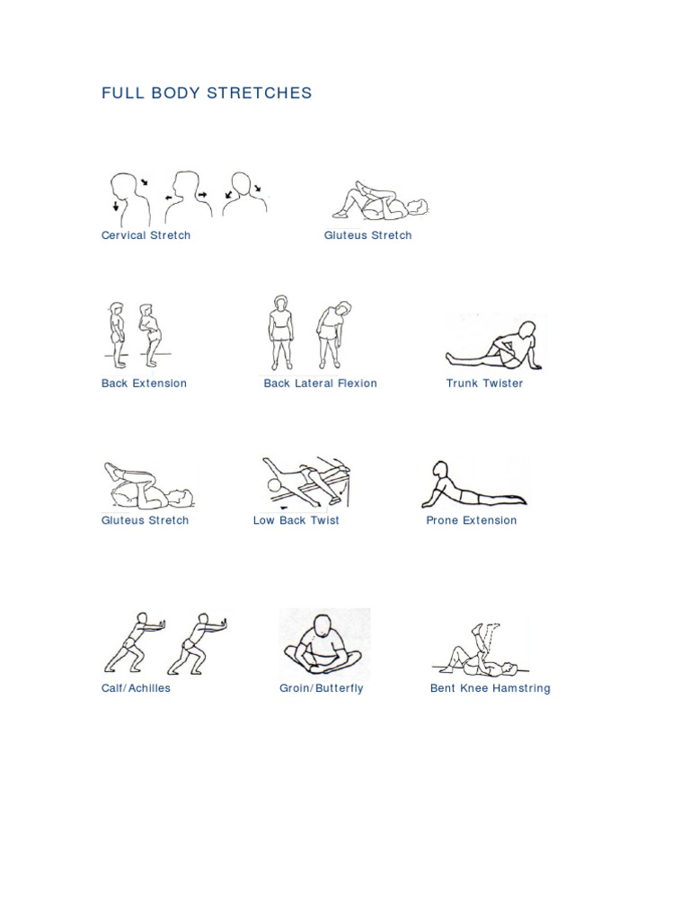 Full Body Stretches | PDF