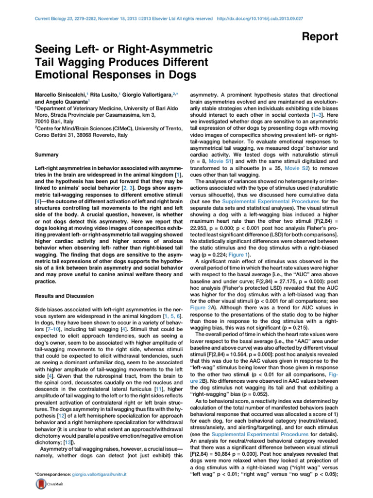 Estudio 2 Colas | PDF | Asymmetry | Dogs