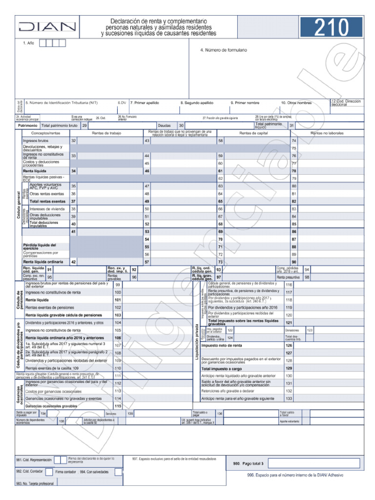Formulario 210 2024 | PDF | Costo de la vida | Pensión
