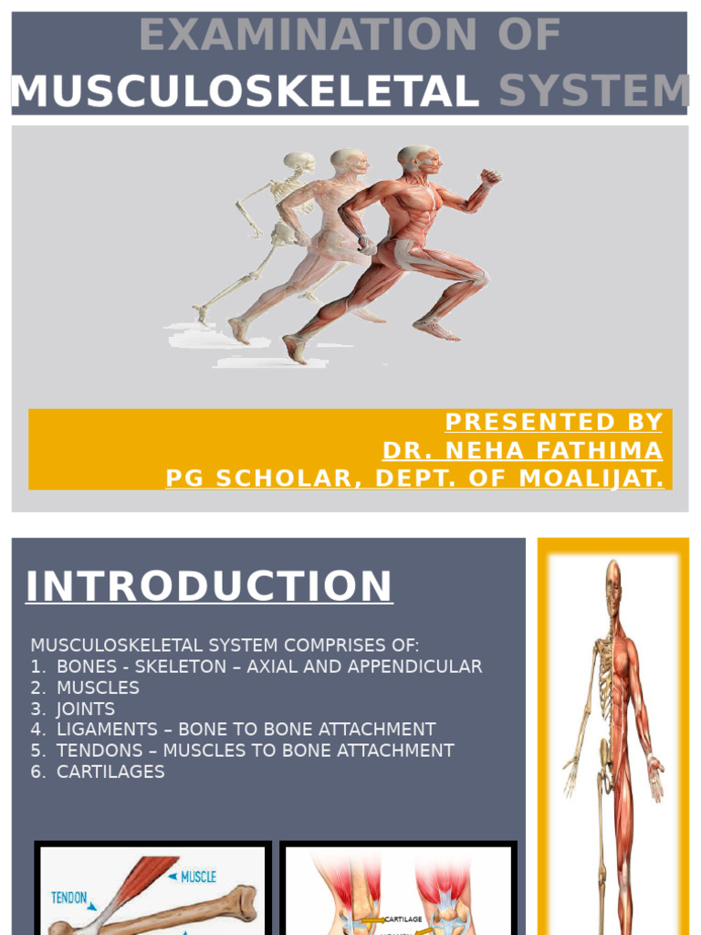 Examination of Musculoskeletal System | PDF | Anatomical Terms Of ...