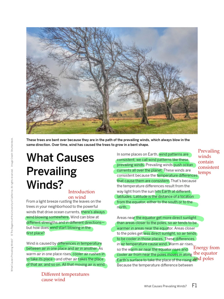 What Causes Prevailing Winds Reading Annotation (1) | PDF | Wound ...