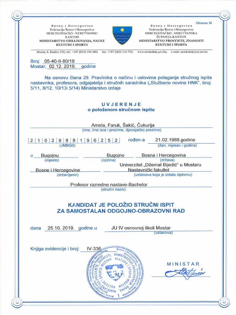 Strucni Ispit | PDF
