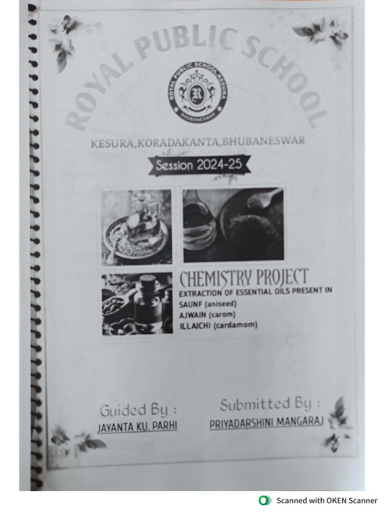 Chemistry Project 2 | PDF