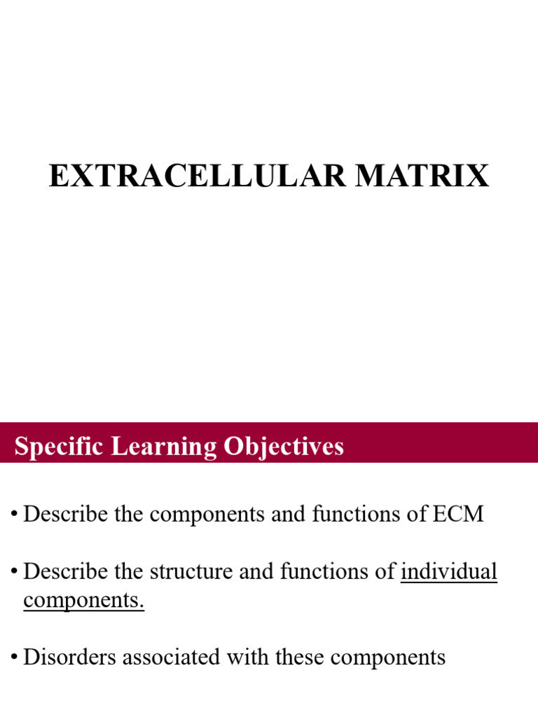 Ecm | PDF | Extracellular Matrix | Collagen