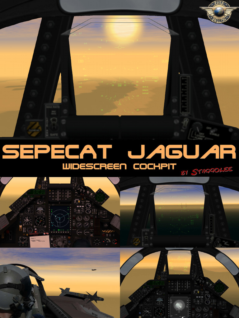 Jaguar | PDF | Aerospace | Aircraft