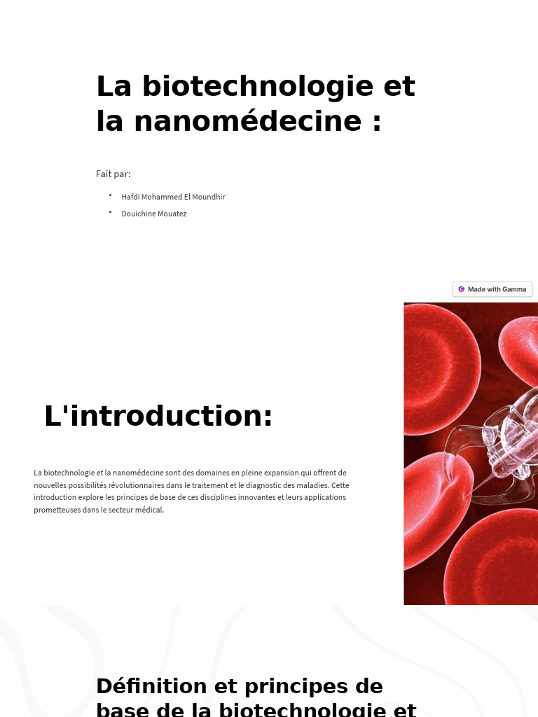 Presentation Bio Nanotech | PDF | Nanotechnologie | Nanomédecine