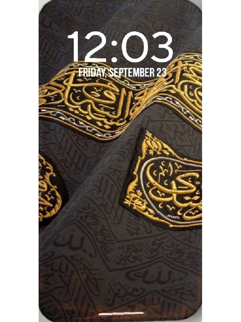 PDFReader_20241218_2152 | PDF