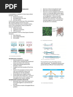 Ideogenesis - The Start of An Idea | PDF | Idea | Senses