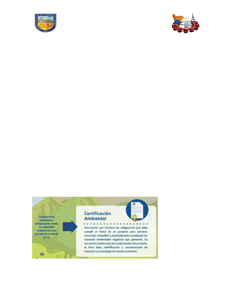 Objetivos del SEIA en Perú | PDF