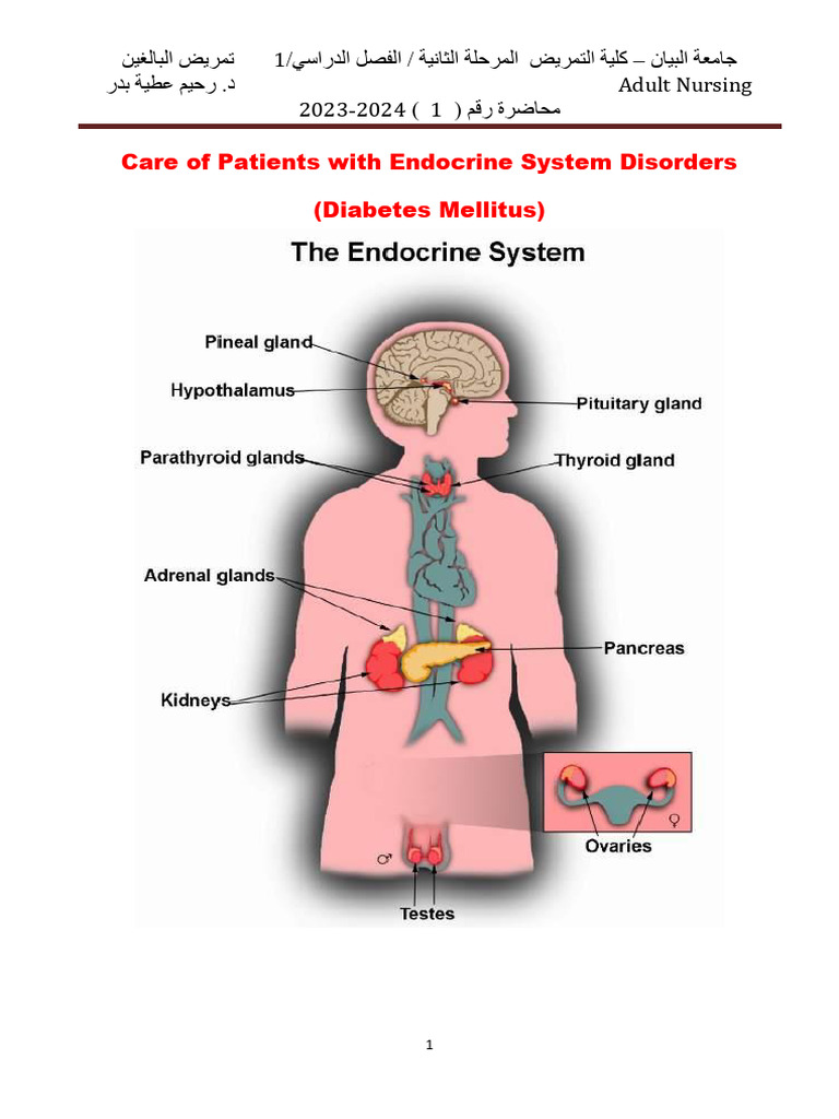 Indocrine System Disorders 1st Lec - Copy | PDF | Diabetes ... Indocrine System Disorders 1st Lec - Copy | PDF | Diabetes ...