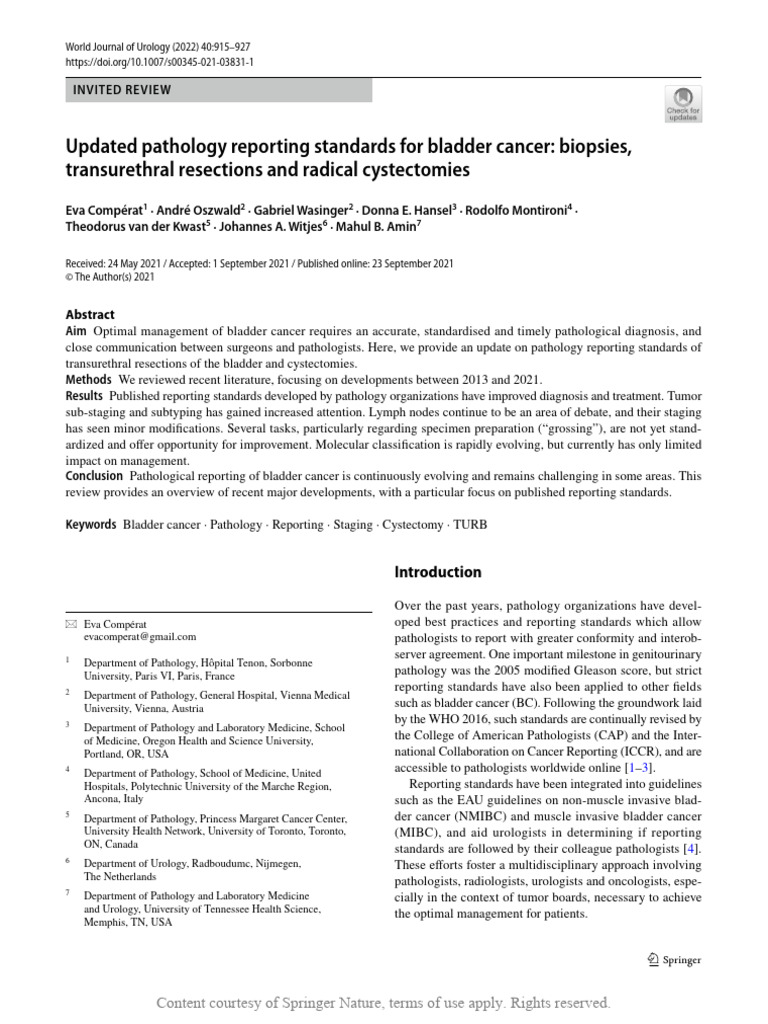 Updated Pathology Reporting Standards For Bladder Cancer | PDF ...