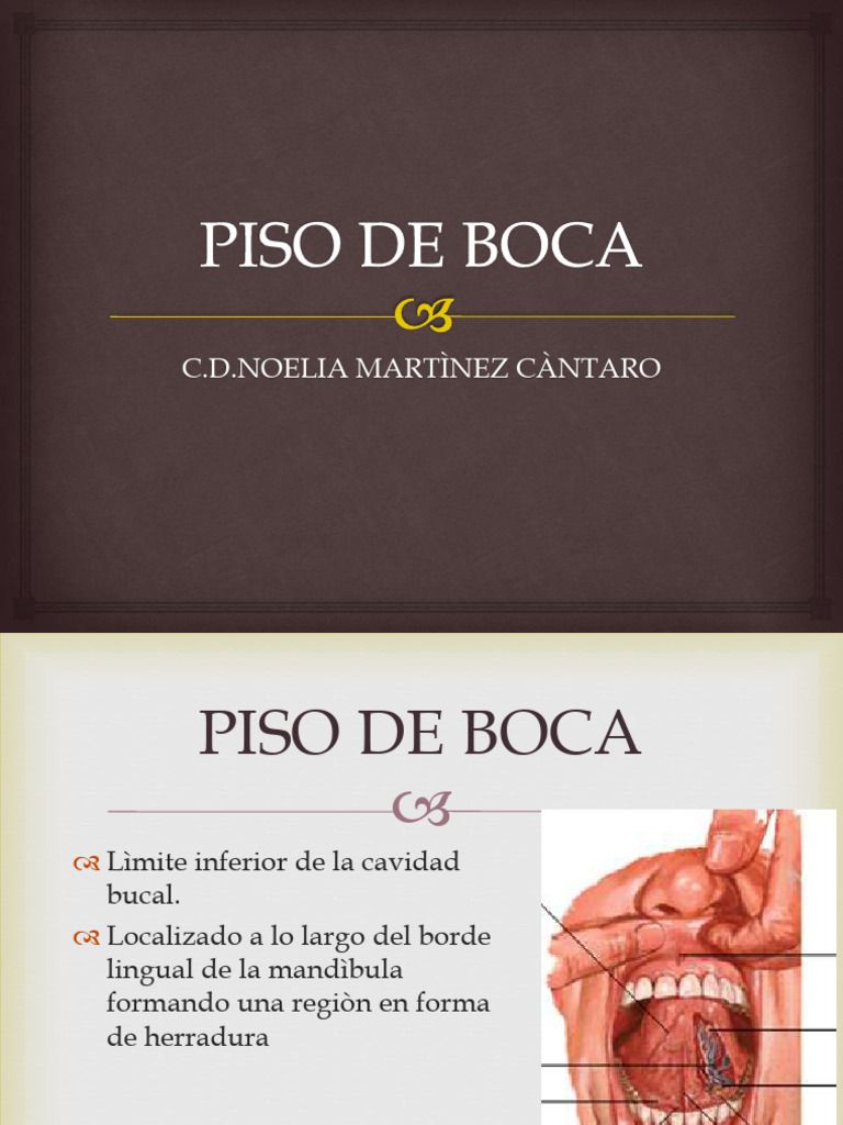 Piso de Boca | PDF | Lengua | Laringe